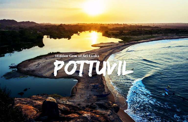 Pottuvil | பொத்துவில் | A Home of Beach Lovers & Surfers