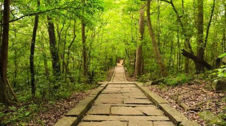 Ritigala Forest Monastery – Ascetics in the Wilderness