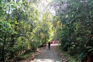 Kanneliya Rainforest Reserve | Sri Lanka's Best-Kept Secrets