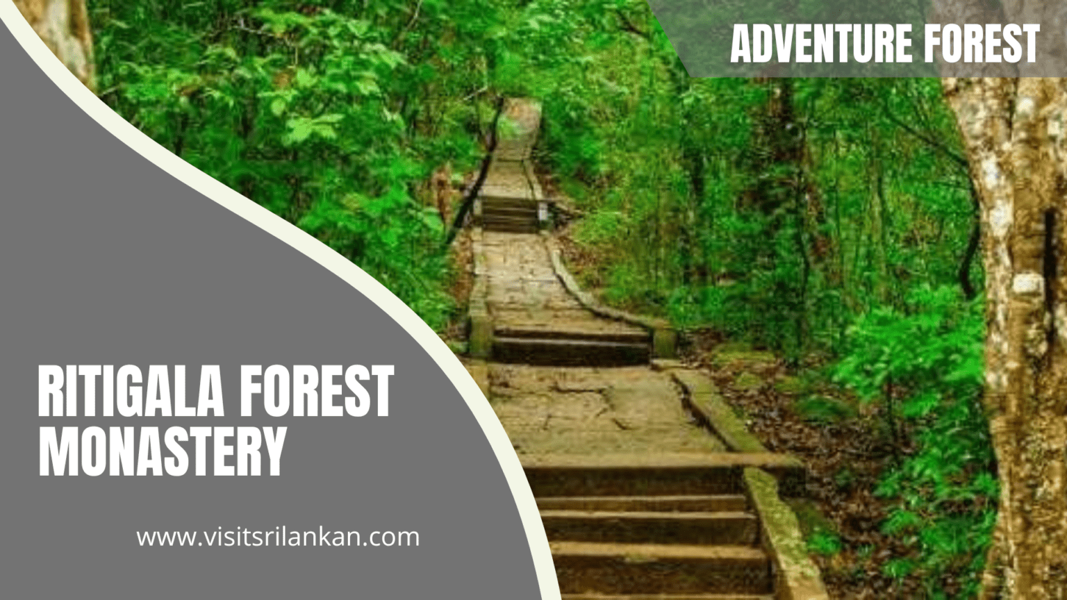 Ritigala Forest Monastery – Ascetics in the Wilderness
