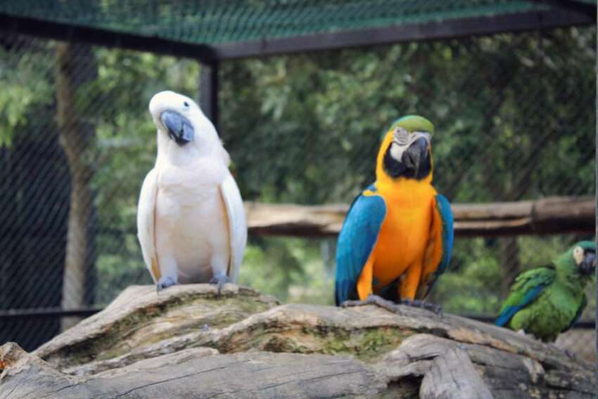 Hambantota Birds Park & Birds research center | Sri Lanka