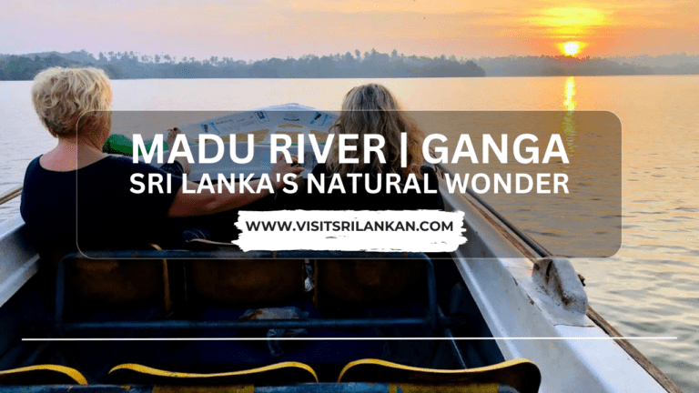 Madu River | Madu Ganga | Sri Lanka