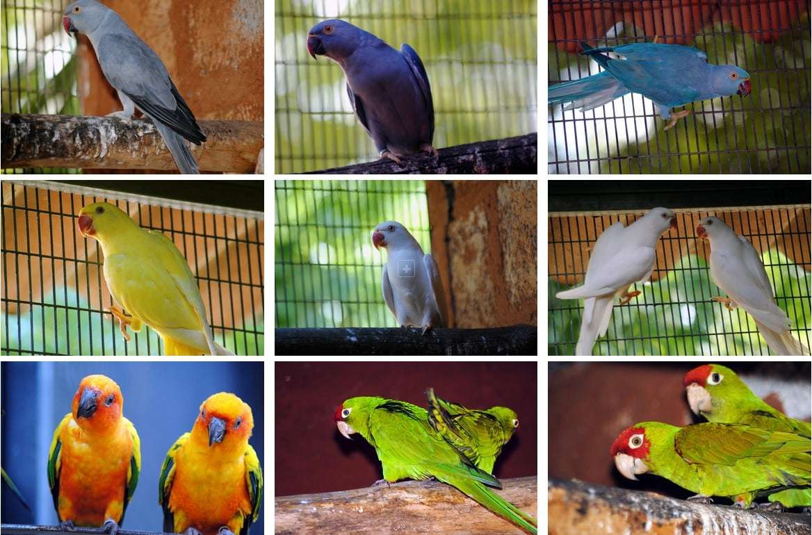 Hambantota Birds Park & Birds research center | Sri Lanka