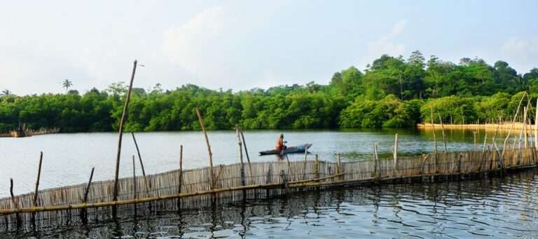 Madu River | Madu Ganga | Sri Lanka