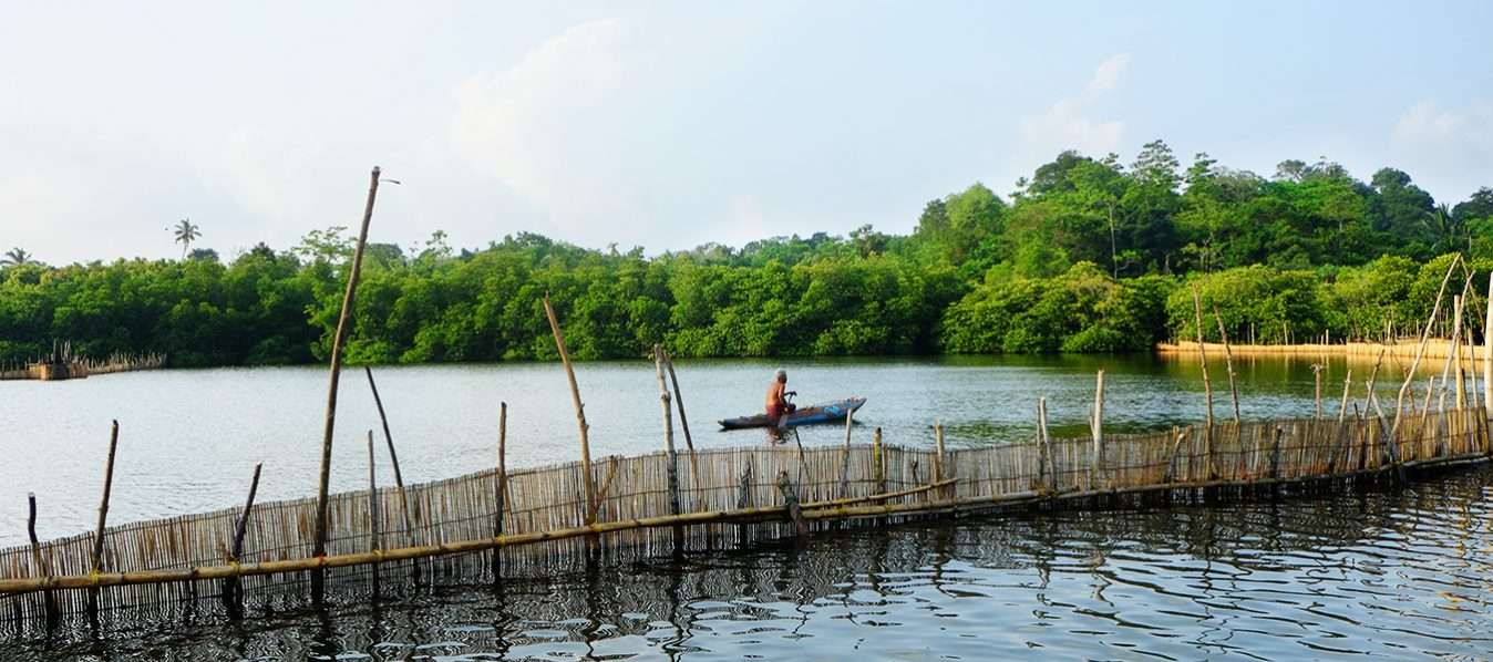 Madu River | Madu Ganga | Sri Lanka