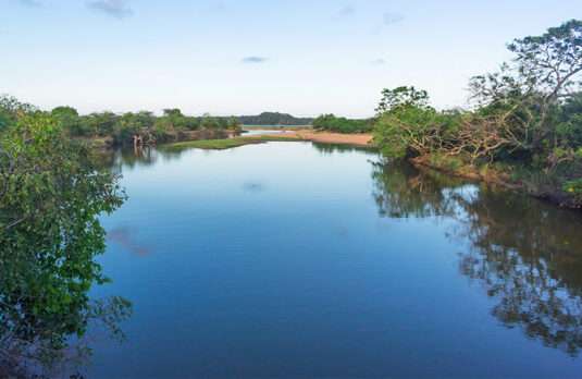 Mangrove Watching in Pottuvil Lagoon - Best Lagoon safari