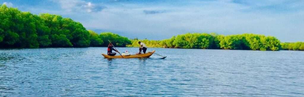 Mangrove Watching in Pottuvil Lagoon - Best Lagoon safari