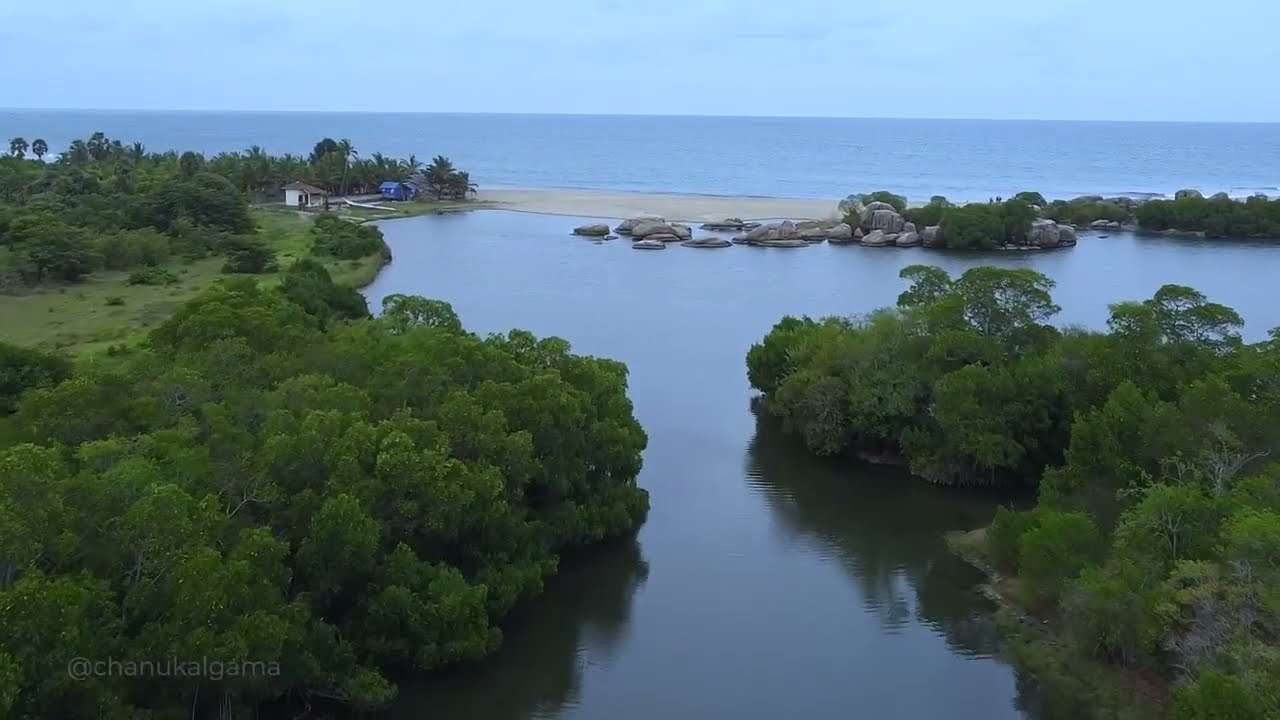 Mangrove Watching in Pottuvil Lagoon - Best Lagoon safari
