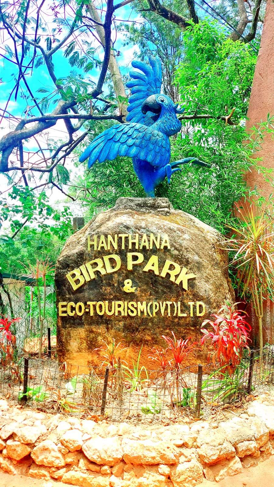 Handana Birds Park an avian paradise in Sri Lanka