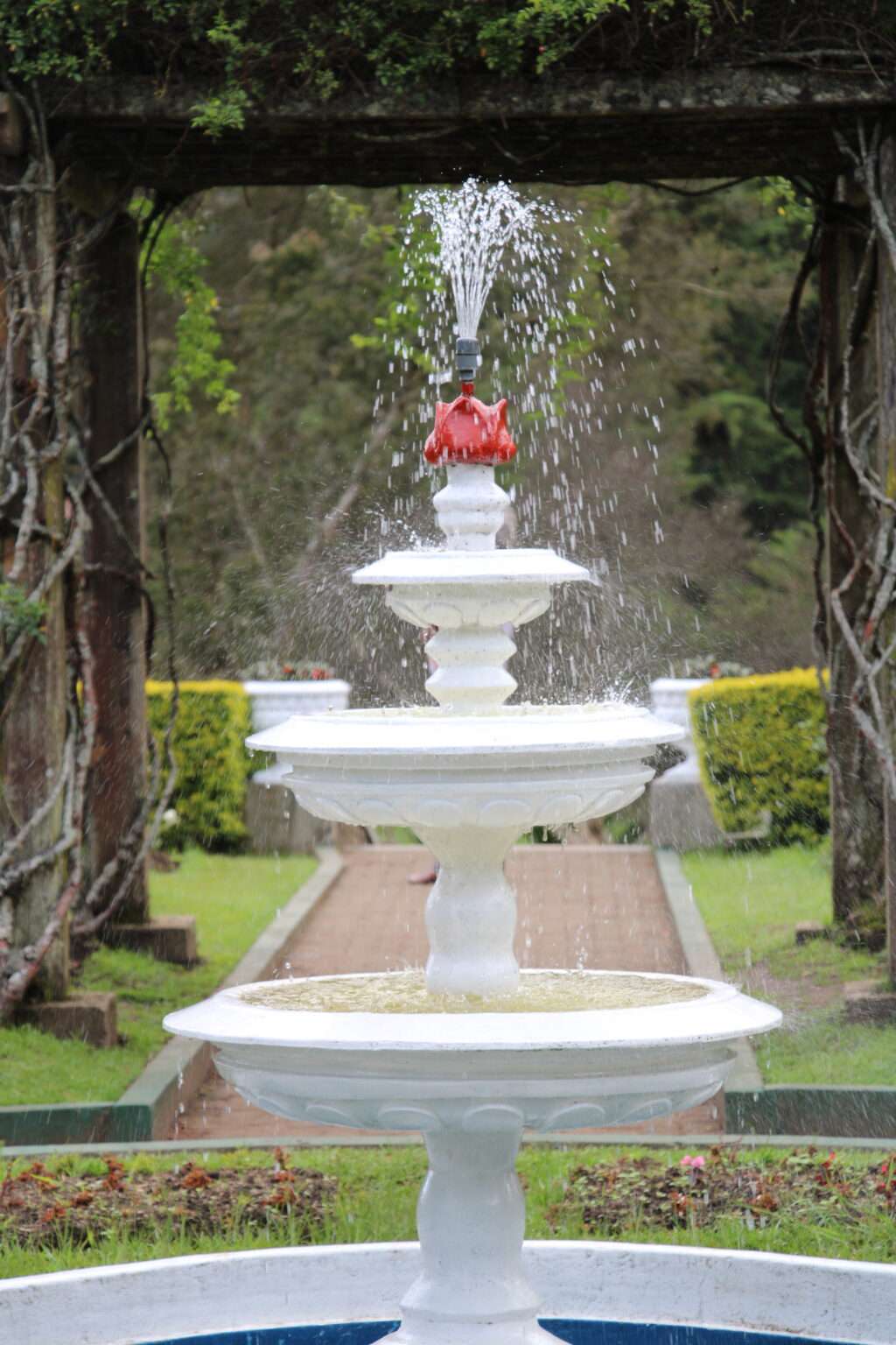 Victoria Park Nuwara Eliya: A Tranquil Escape in Sri Lanka